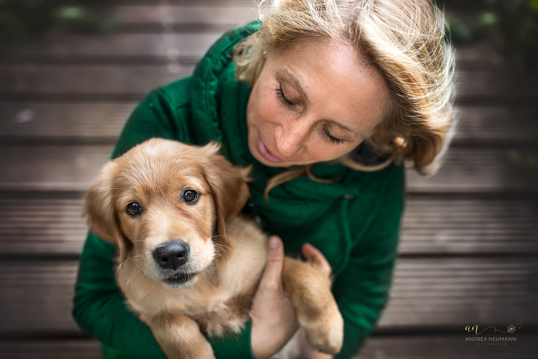 Leadoor - Meine Hunde